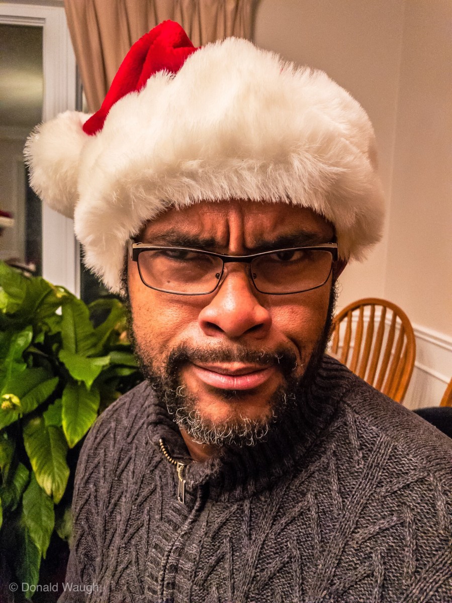 This Christmas 2017 – Donald Waugh